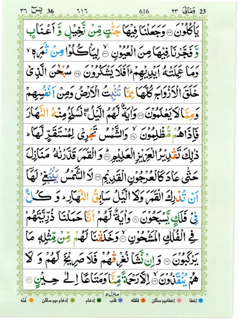 Surah Yasin - Pak Web