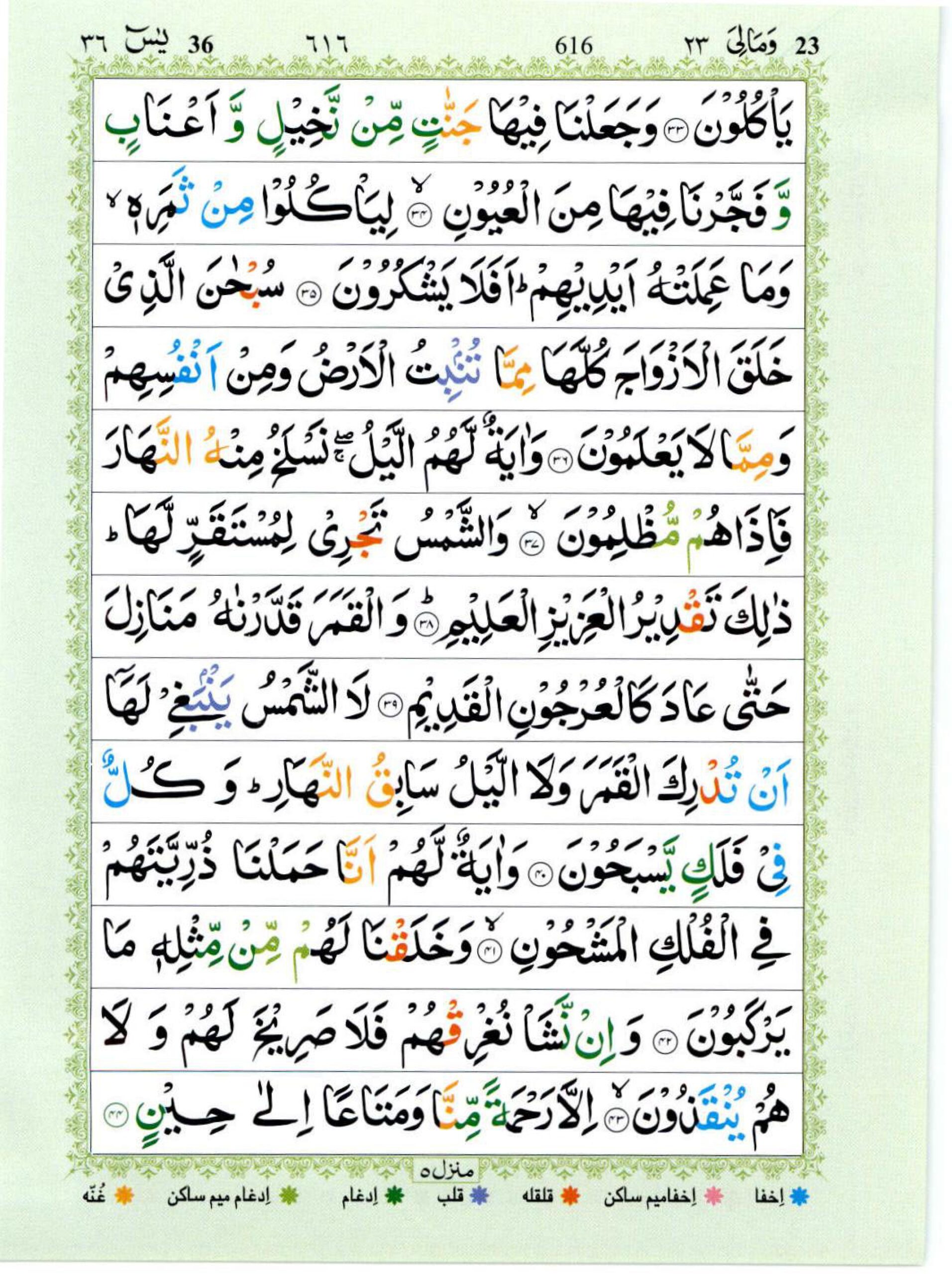 Surah Yasin - Pak Web
