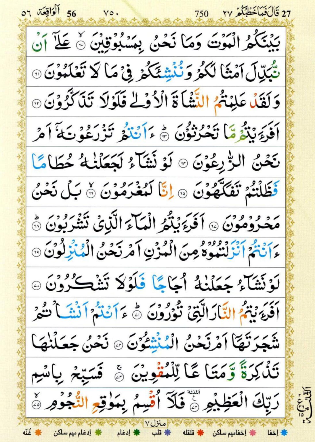 Surah Al Waqiah Read and Listen سورة الواقعة | Pak Web